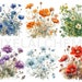 Watercolor Meadow Flowers Clipart, Wildflower Floral PNG, Png Bundle ...