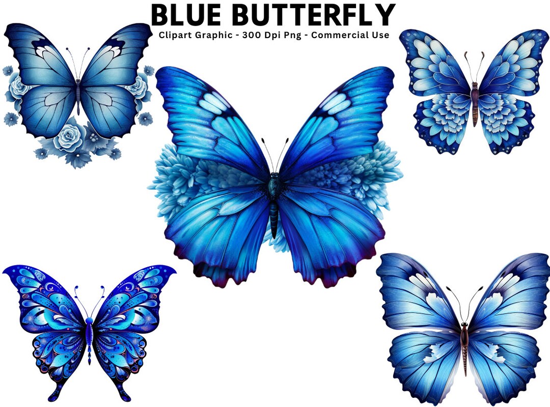 Best Colorful Butterfly Clipart Bundle, Watercolor Butterfly, Butterfly ...