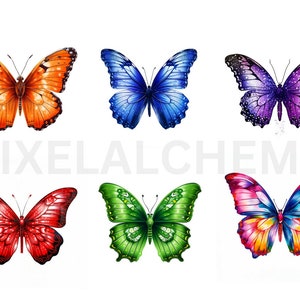 Set of 100 Best Colorful Butterfly Clipart Bundle, Watercolor Butterfly ...