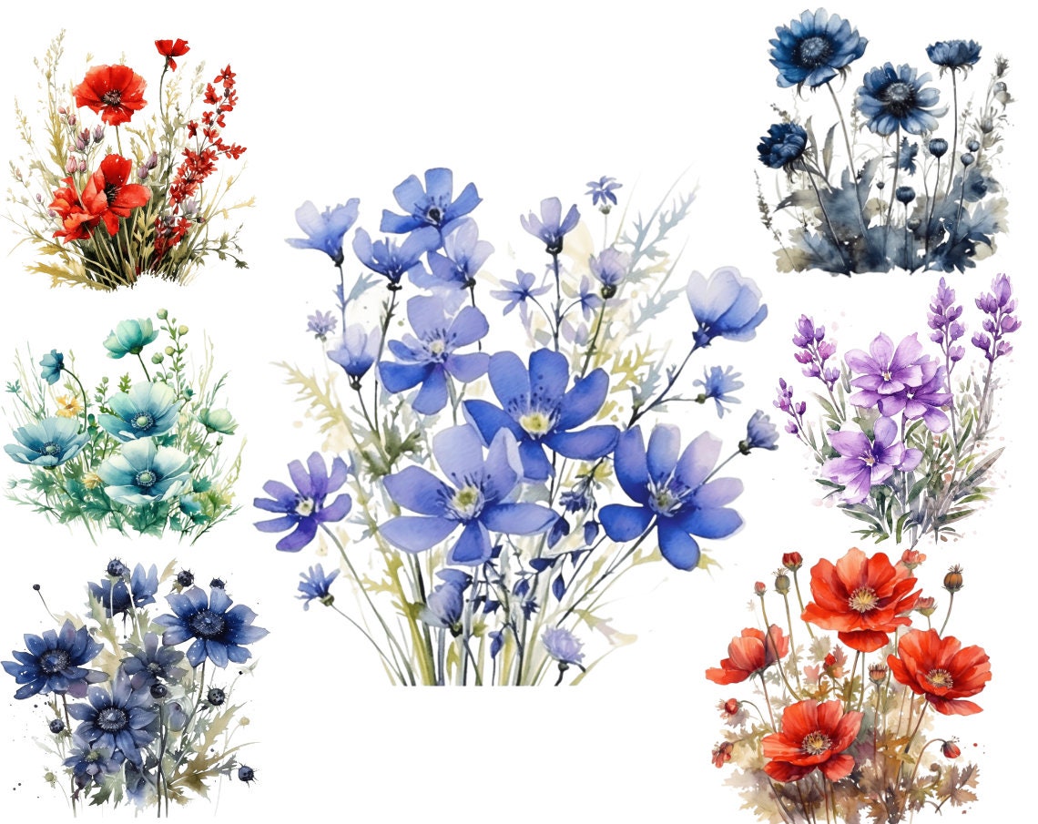 Watercolor Meadow Flowers Clipart Wildflower Floral PNG Png - Etsy