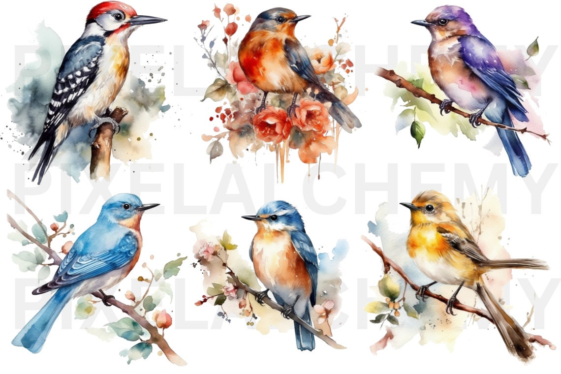 Watercolor Birds Clipart Birds Png Spring Birds Clipart - Etsy