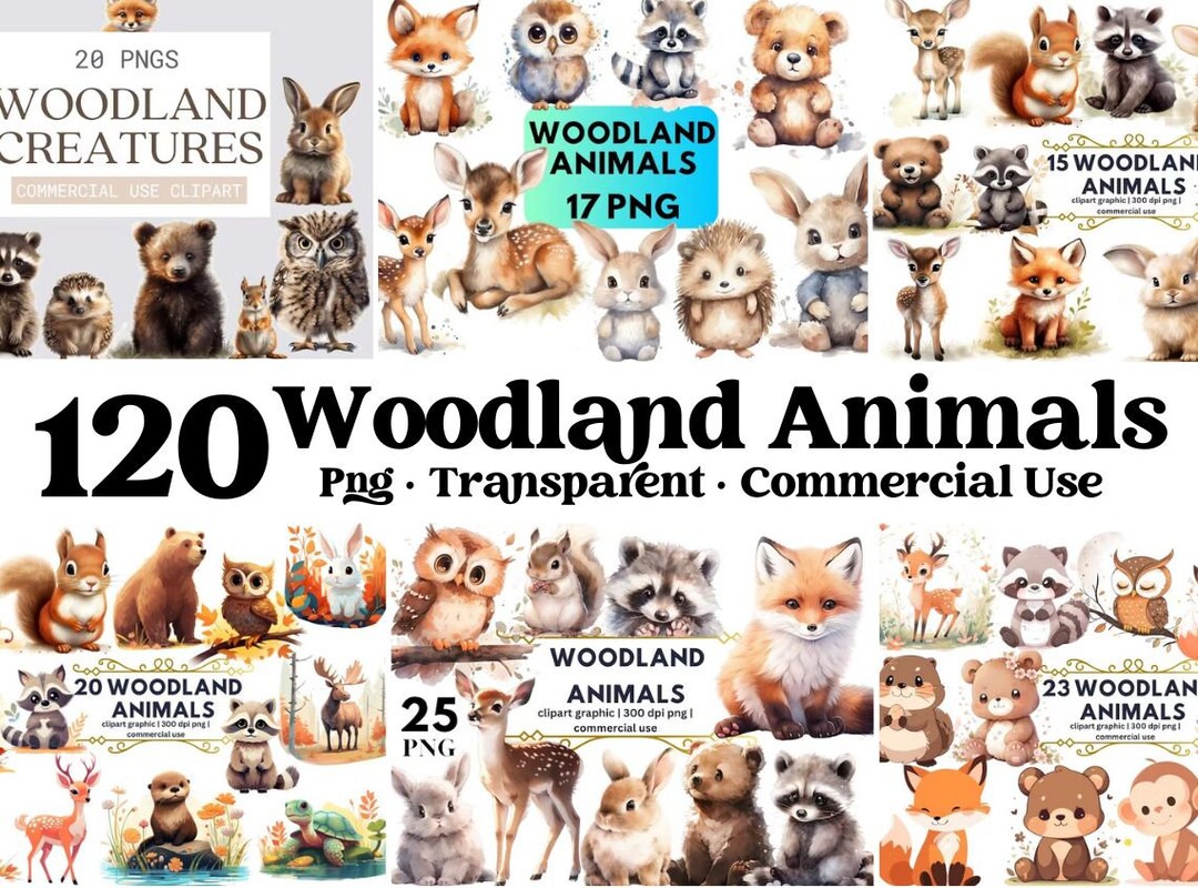 Woodland Animals Watercolor Clipart, Forest Animals Clip Art, Nursery ...