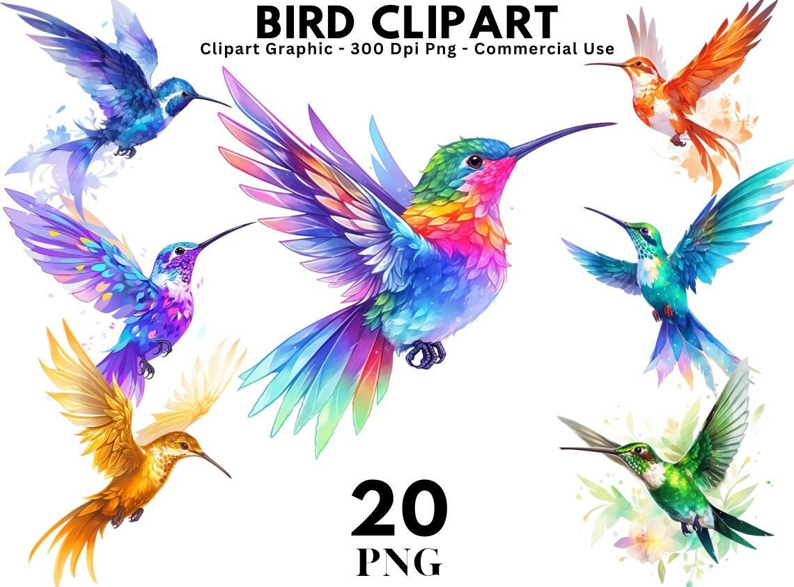 Watercolor Birds Clipart Birds Png Spring Birds Clipart - Etsy