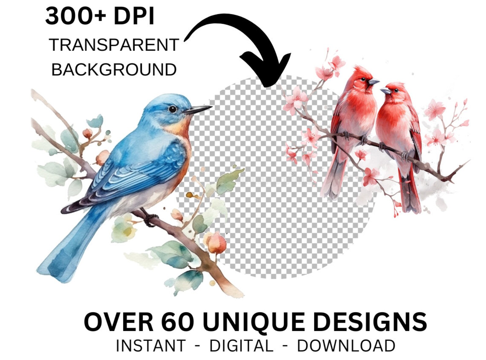 60 Watercolor Birds Clipart, Birds Png, Spring Birds Clipart, Bird ...