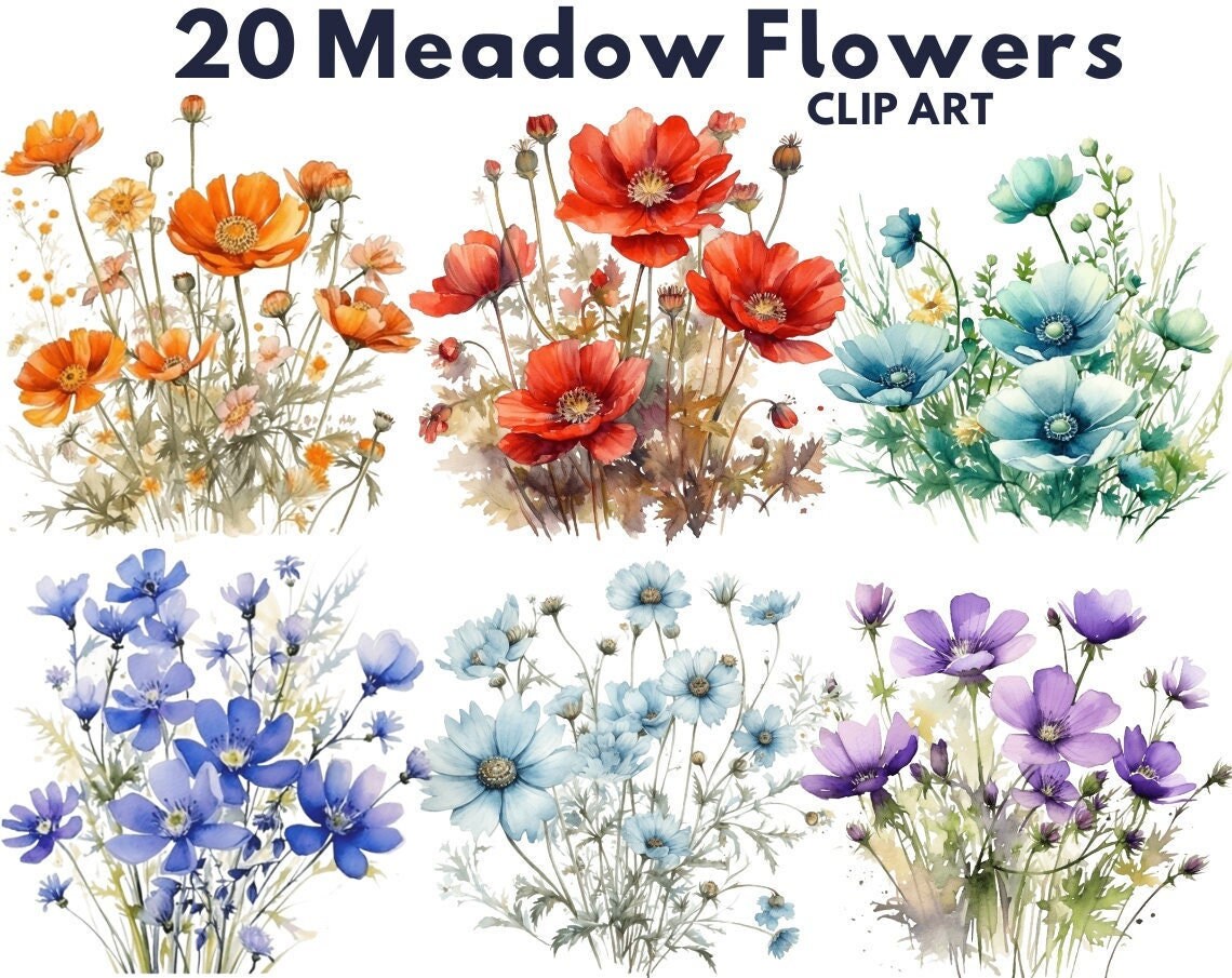 Watercolor Meadow Flowers Clipart Wildflower Floral PNG Png - Etsy