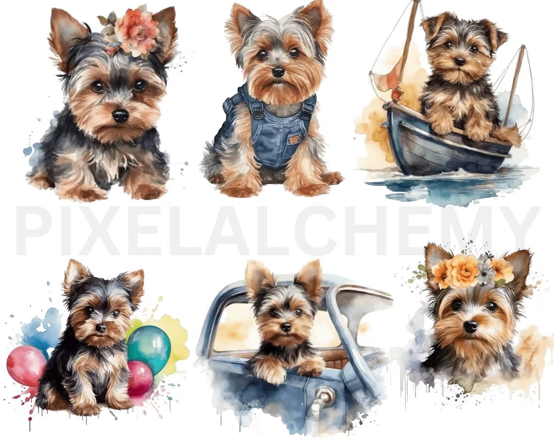 Yorkshire Terrier Watercolor Clipart Cute Yorkie PNG - Etsy