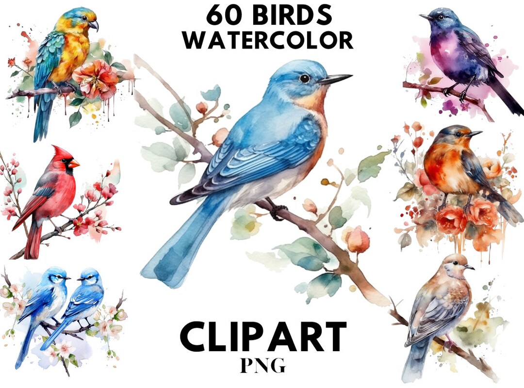 60 Watercolor Birds Clipart, Birds Png, Spring Birds Clipart, Bird ...
