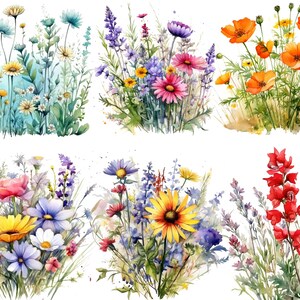 Watercolor Meadow Flowers Clipart, Wildflower Floral PNG, Png Bundle ...
