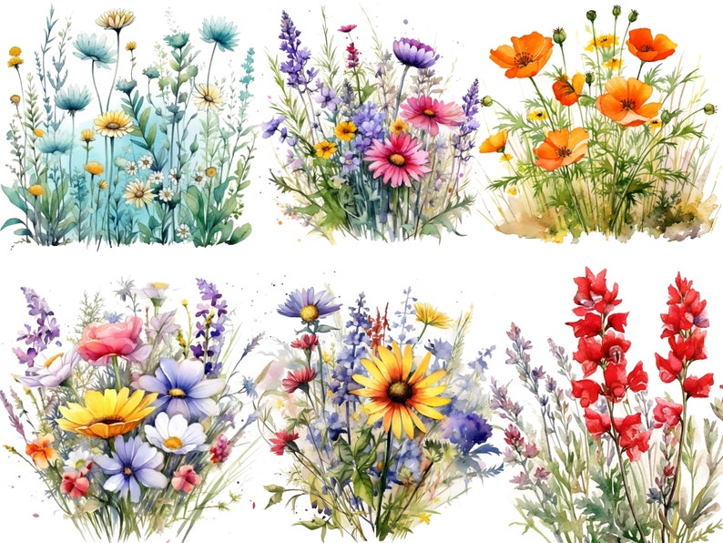 Watercolor Meadow Flowers Clipart Wildflower Floral PNG Png - Etsy