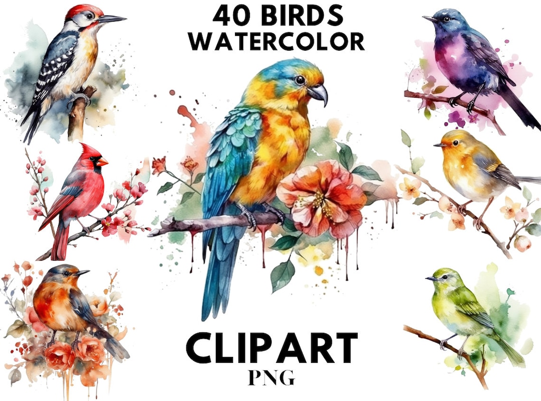 40 Watercolor Birds Clipart, Birds Png, Spring Birds Clipart, Bird ...
