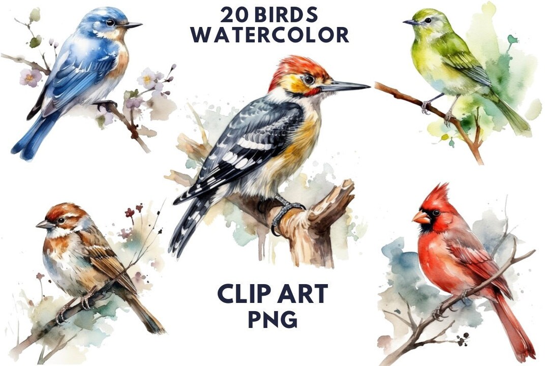 Watercolor Birds Clipart, Birds Png, Spring Birds Clipart, Bird Clipart ...