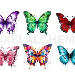 Best Colorful Butterfly Clipart Bundle, Watercolor Butterfly, Butterfly ...