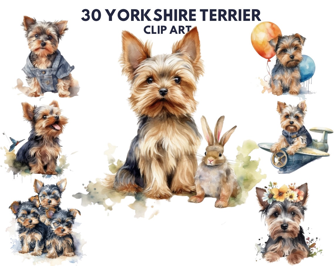 Yorkshire Terrier Watercolor Clipart, Cute Yorkie PNG Illustration Cute ...