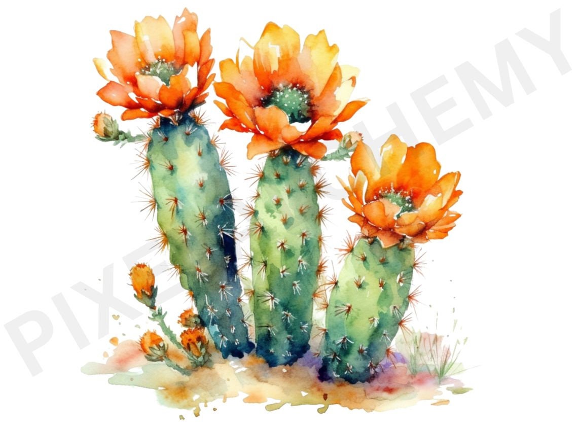 Watercolor Cactus Clipart Desert Cacti PNG Watercolor - Etsy