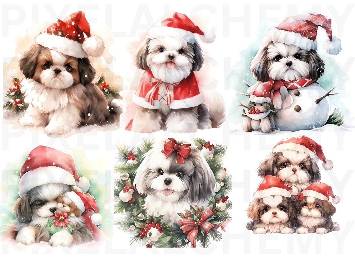Christmas Shih Tzu Watercolor Clipart, Shih Tzu PNG Illustration Shih ...