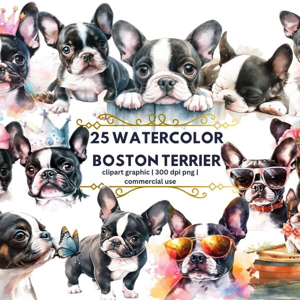 Boston Terrier Art - Etsy
