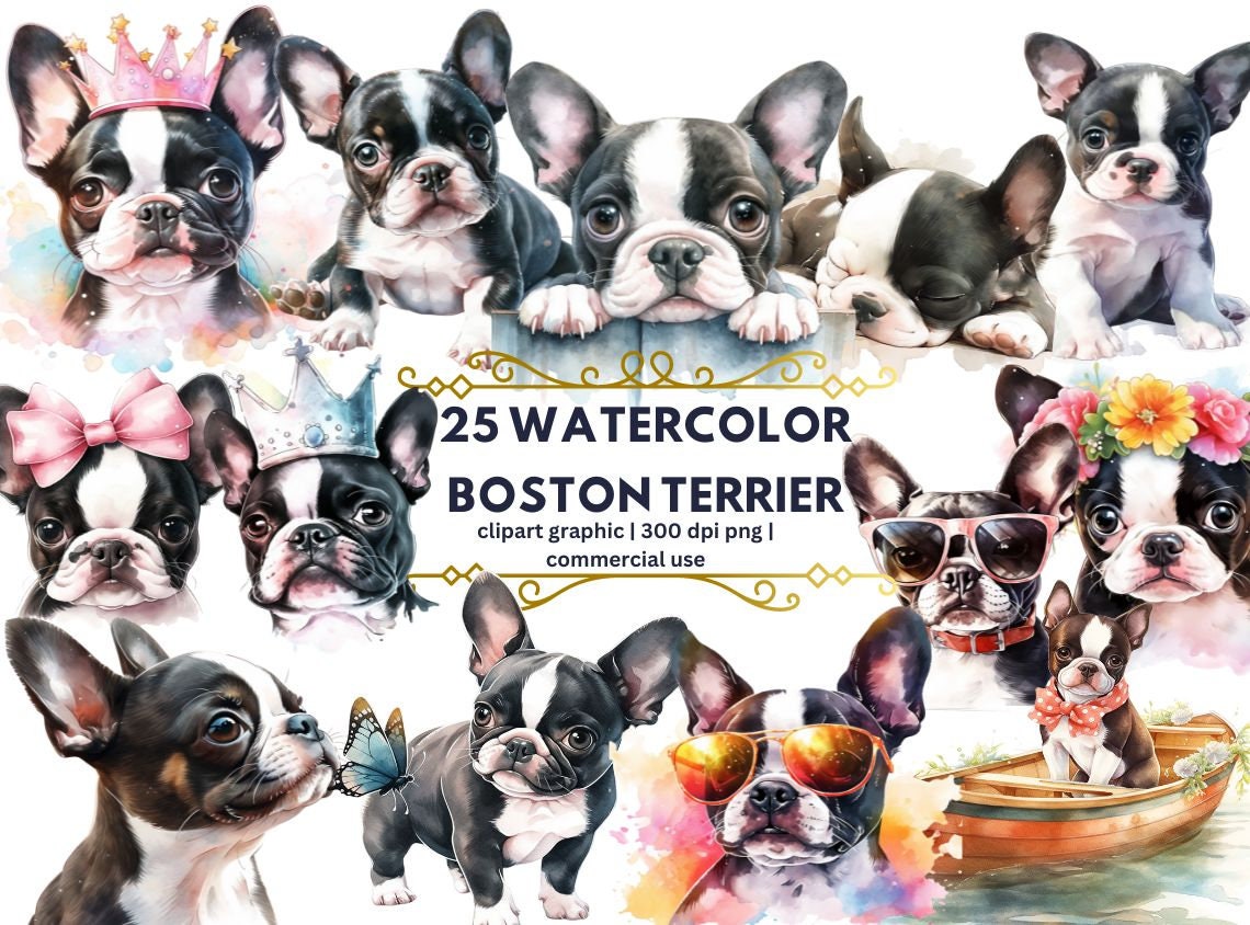 Boston Terrier Watercolor Clipart, Cute Boston Terrier PNG Illustration ...