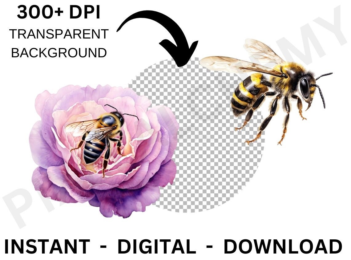 Watercolor Honey Bee Clipart, Spring Garden Bee and Honey Drips Clip ...