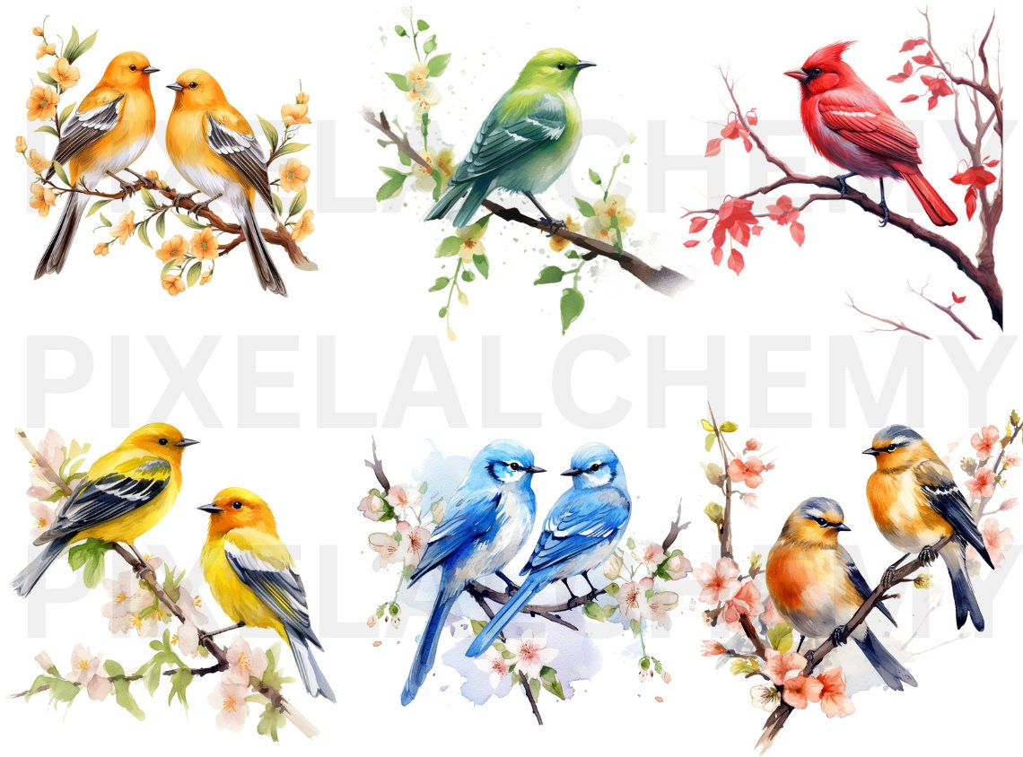 Set of 20, Watercolor Birds Clipart Bundle, Spring Birds Clipart, Birds ...