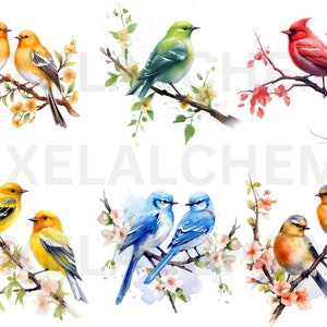 Set of 20, Watercolor Birds Clipart Bundle, Spring Birds Clipart, Birds ...