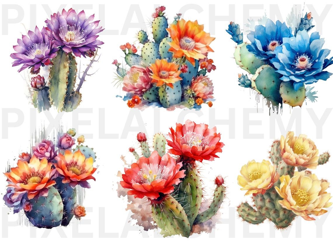 Watercolor Cactus Clipart Desert Cacti PNG Watercolor - Etsy