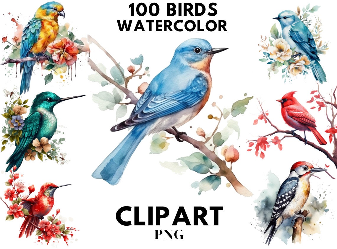 100 Watercolor Birds Clipart, Birds Png, Spring Birds Clipart, Bird ...