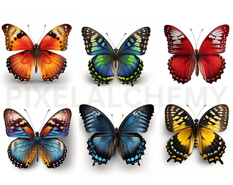 Best Colorful Butterfly Clipart Bundle Watercolor Butterfly - Etsy