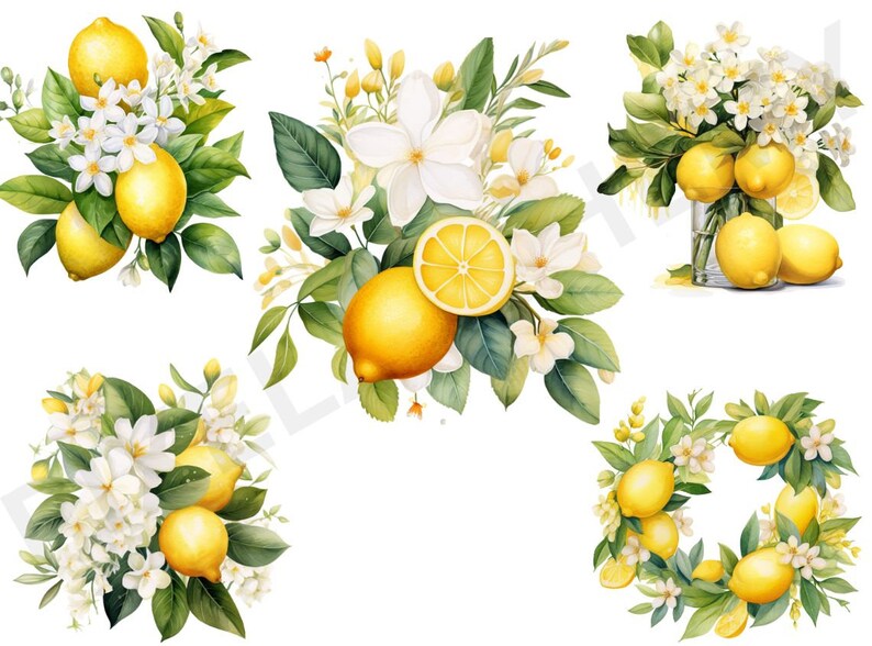 Bouquet Lemon Clipart, Watercolor Lemons Png, Lemon Twig Clipart, Lemon ...
