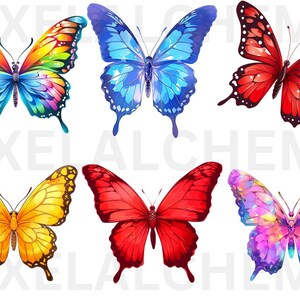 Best Colorful Butterfly Clipart Bundle, Watercolor Butterfly, Butterfly ...