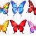 Best Colorful Butterfly Clipart Bundle Watercolor Butterfly - Etsy