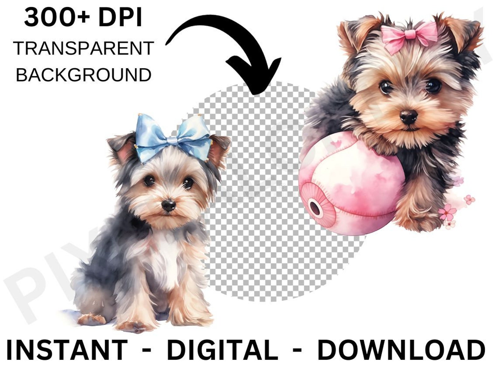 Yorkshire Terrier Watercolor Clipart, Cute Yorkie PNG Illustration Cute ...