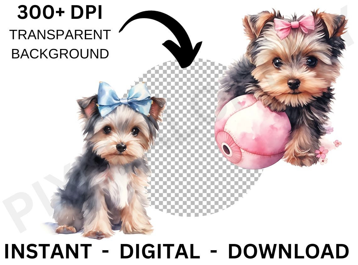 Yorkshire Terrier Watercolor Clipart, Cute Yorkie PNG Illustration Cute ...