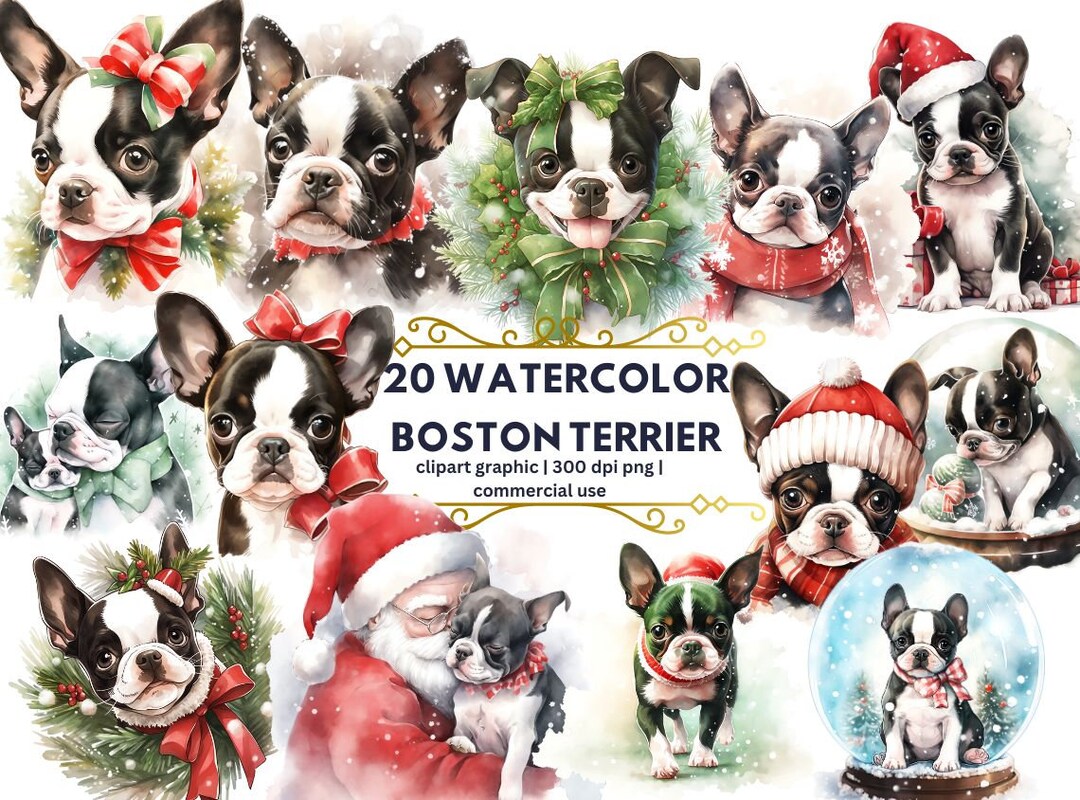 Christmas Boston Terrier Watercolor Clipart, Boston Terrier PNG ...