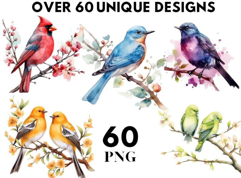 60 Watercolor Birds Clipart Birds Png Spring Birds Clipart - Etsy