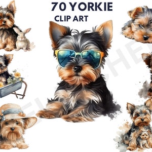 Yorkshire Terrier Watercolor Clipart, Cute Yorkie PNG Illustration Cute ...