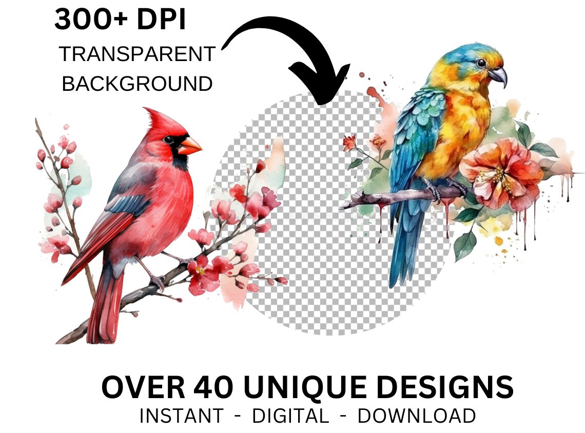 40 Watercolor Birds Clipart Birds Png Spring Birds Clipart - Etsy