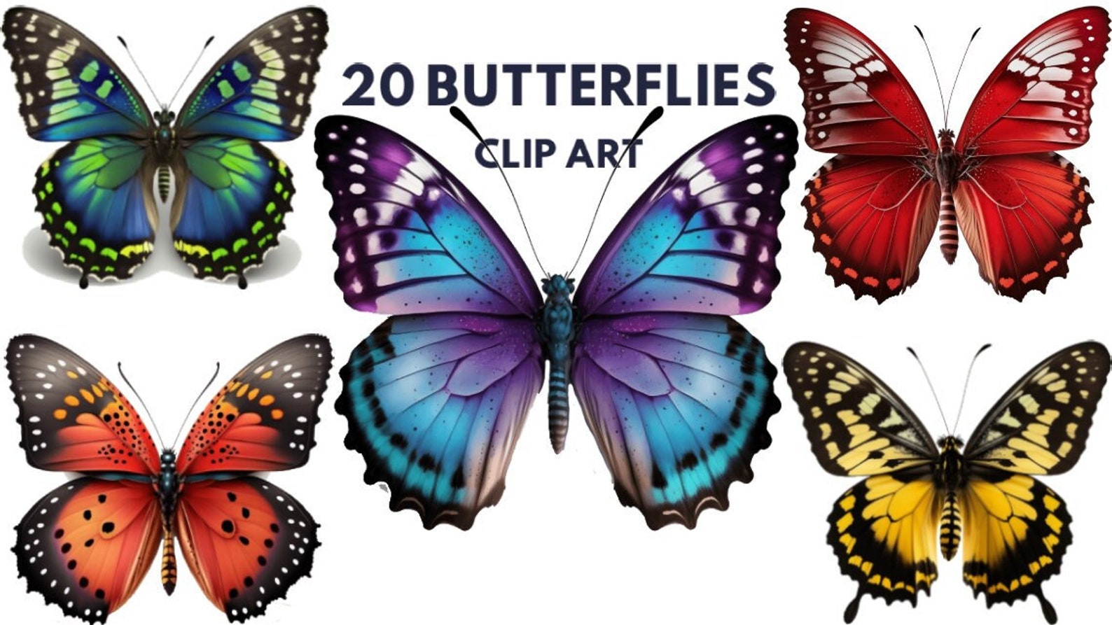Best Colorful Butterfly Clipart Bundle Watercolor Butterfly - Etsy