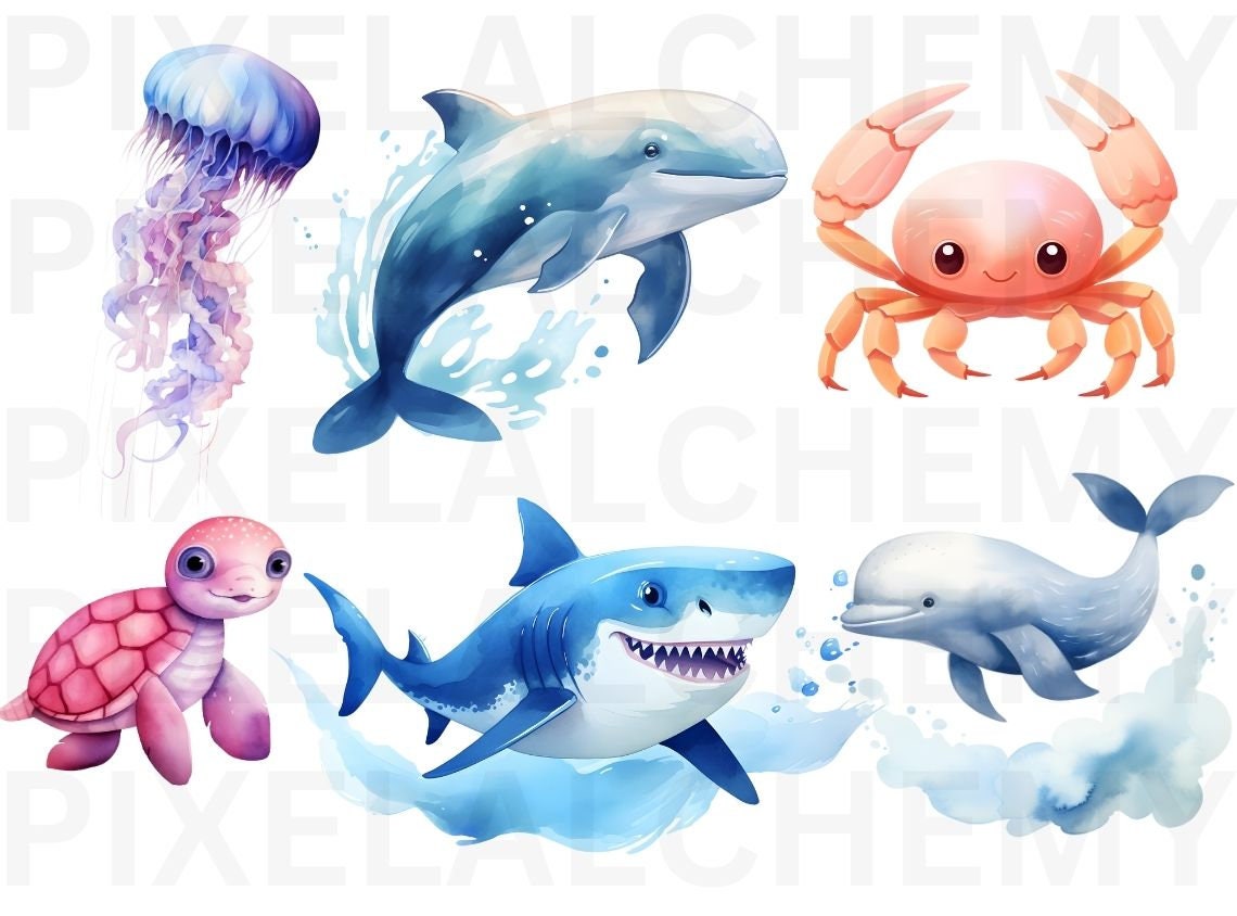 Sea Animals Watercolor Clipart Baby Shower Clip Art Ocean - Etsy