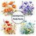Watercolor Meadow Flowers Clipart, Wildflower Floral PNG, Png Bundle ...