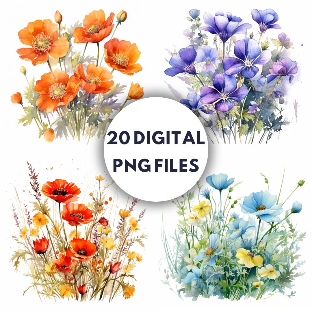 Watercolor Meadow Flowers Clipart Wildflower Floral PNG Png - Etsy
