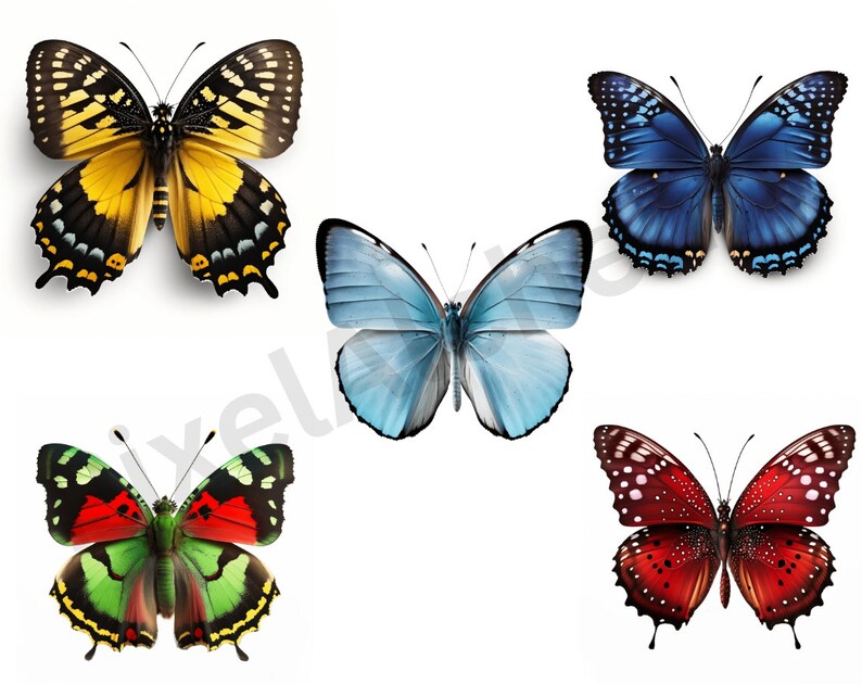 Best Colorful Butterfly Clipart Bundle Watercolor Butterfly - Etsy