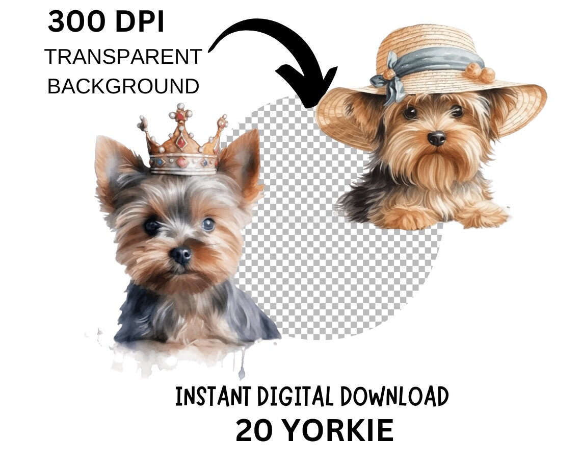Yorkshire Terrier Watercolor Clipart, Cute Yorkie PNG Illustration Cute ...