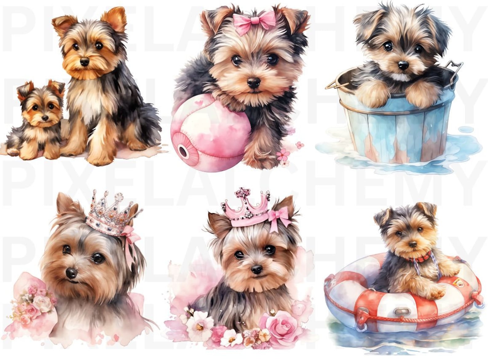Yorkshire Terrier Watercolor Clipart, Cute Yorkie PNG Illustration Cute ...
