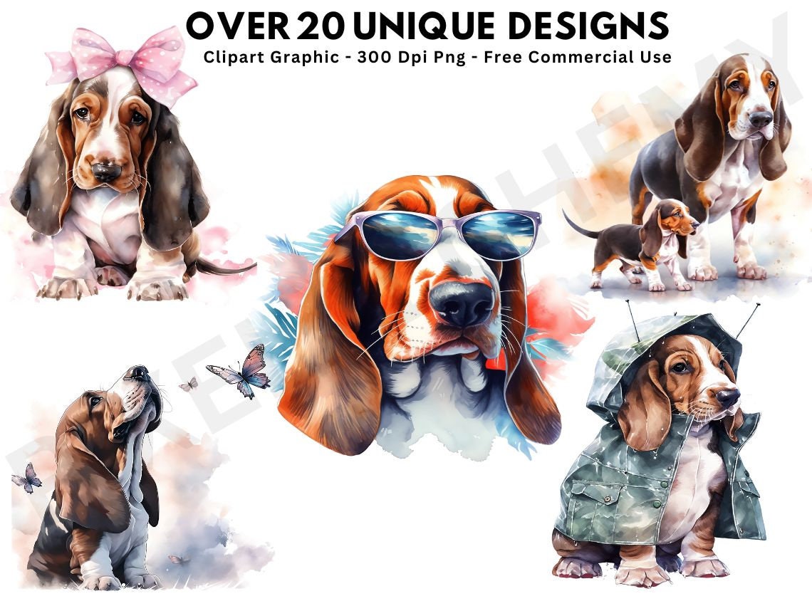 Basset Hound Watercolor Clipart Basset Hound PNG Illustration - Etsy