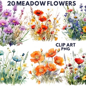 Watercolor Meadow Flowers Clipart, Wildflower Floral PNG, Png Bundle ...