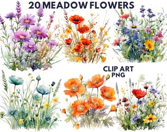 Watercolor Meadow Flowers Clipart, Wildflower Floral PNG, Png Bundle ...