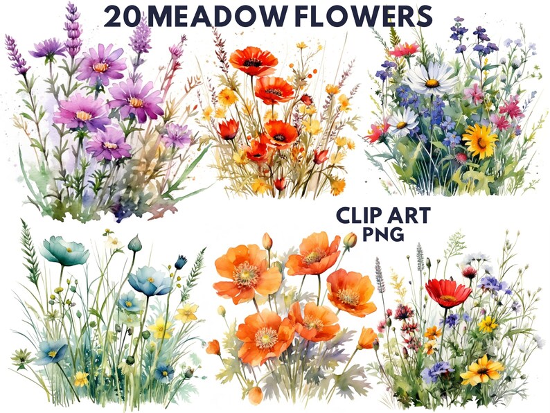 Watercolor Meadow Flowers Clipart Wildflower Floral PNG Png - Etsy
