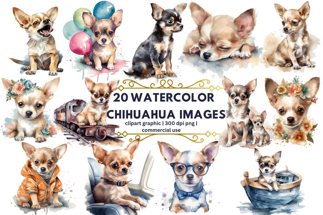 Chihuahua Watercolor Clipart, Cute Chihuahua PNG Illustration Cute ...