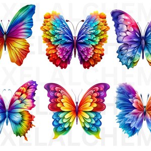 Set of 100 Best Colorful Butterfly Clipart Bundle, Watercolor Butterfly ...