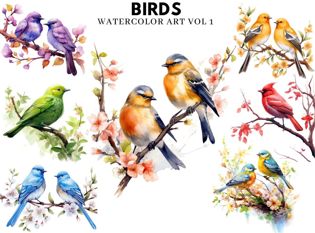 Set of 20, Watercolor Birds Clipart Bundle, Spring Birds Clipart, Birds ...